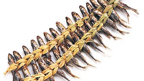 Kayanoya Dashi | Kubara Honke/Kayanoya